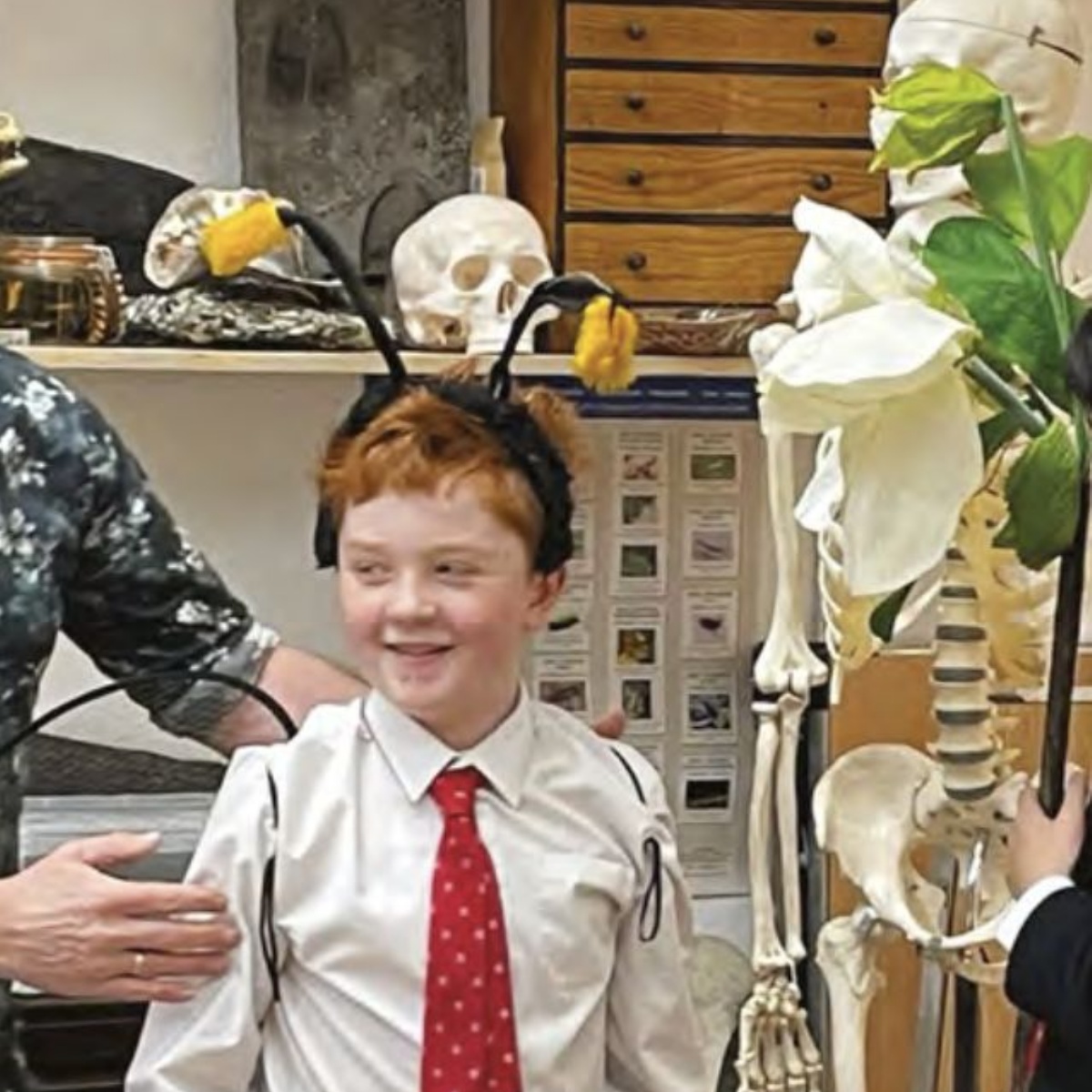 New College Oxford - Insects Workshop